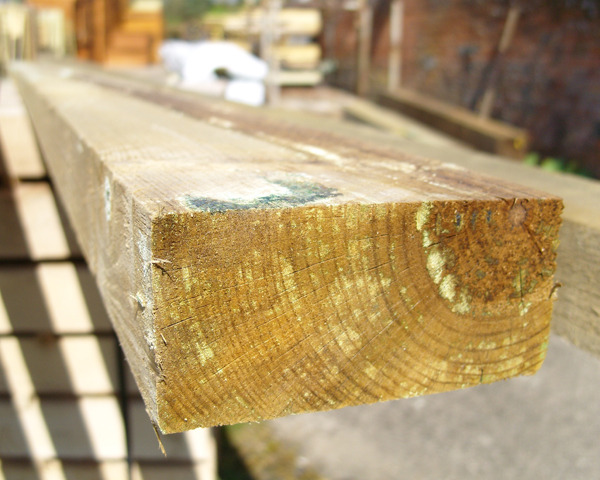 47mm x 100mm 3.0m Timber Rail PT Green