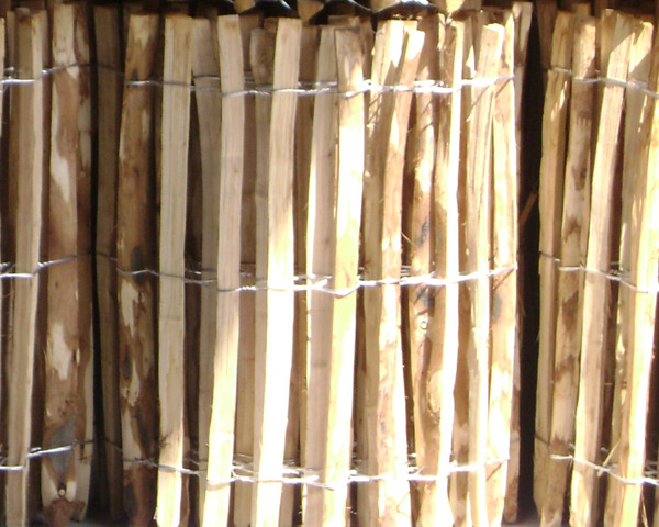 1.83m x 4.57m Chestnut Paling Roll